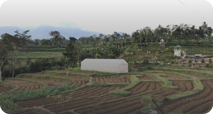 Wisata Sawah Lungguh