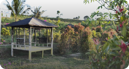 Wisata Sawah Lungguh